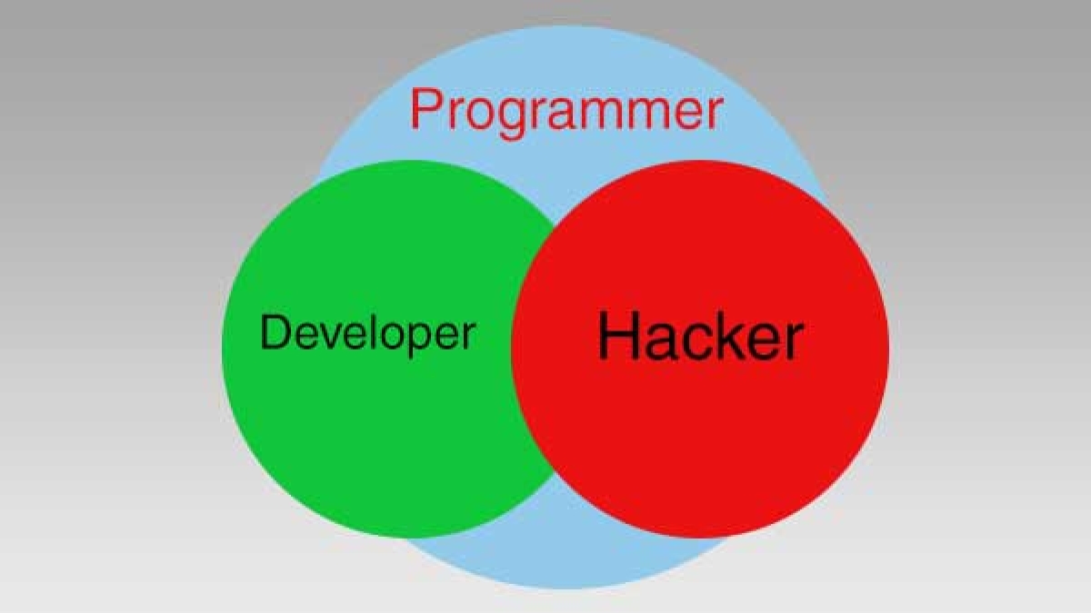 হ্যাকার, প্রোগ্রামার ও ডেভেলপারের মধ্যে কী পার্থক্য? | Difference between Hacker, Programmer ...